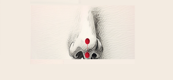 Rhino Piercing: All You Need To Know – GTHIC