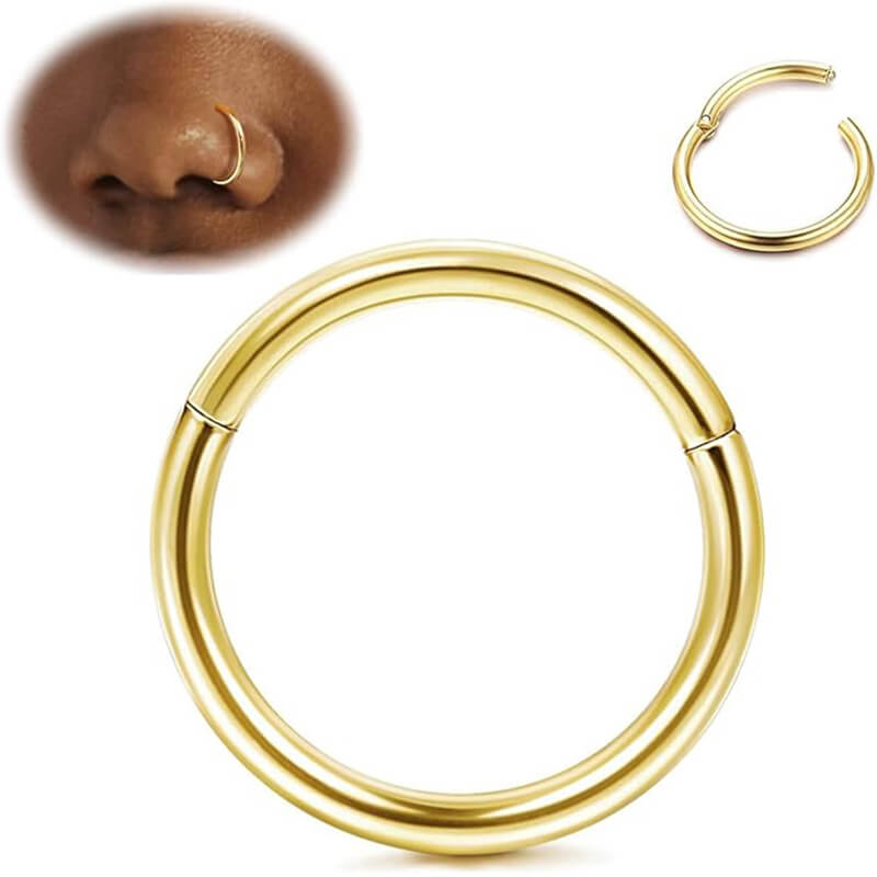 Punk G23 Titanium Nose Ring Cartilage Lobe Piercing – GTHIC